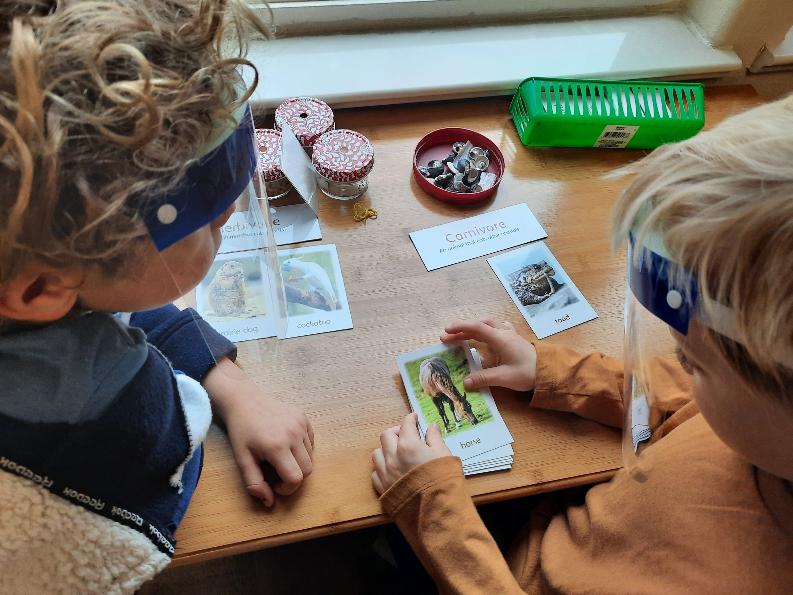 Danielle Schreck's Instagram, Twitter & Facebook on IDCrawl